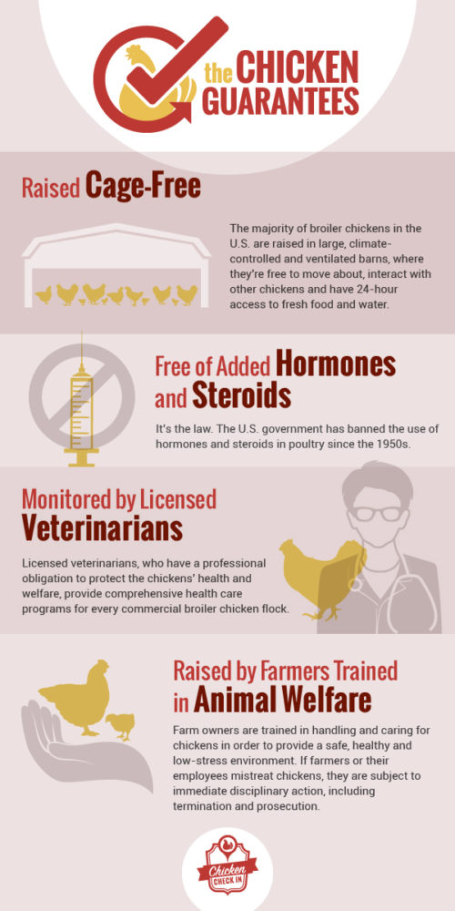 The-Chicken-Guarantees-Infographic - Chicken Check In : Food Service